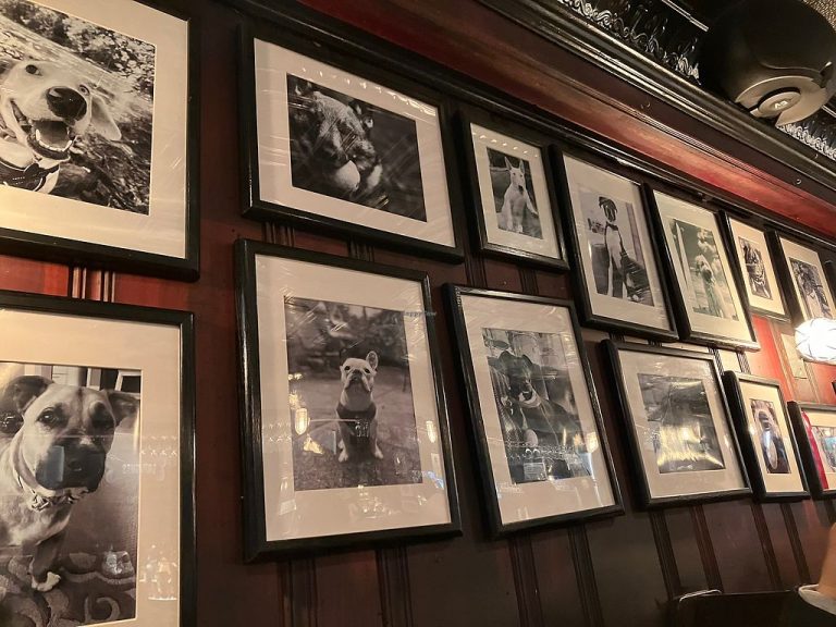 How To Avoid Getting Flustered - Gregory Offner